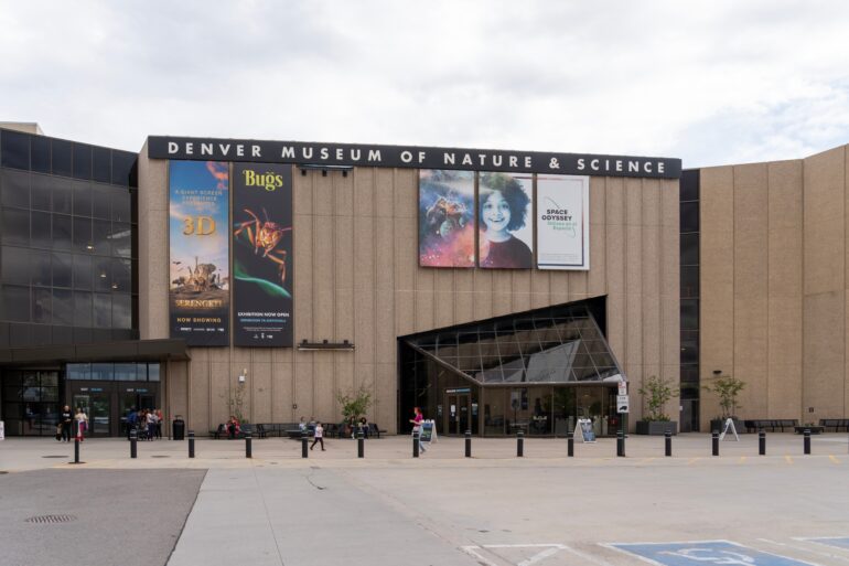 The Best Museums for Kids in Denver and Beyond - Wundervue