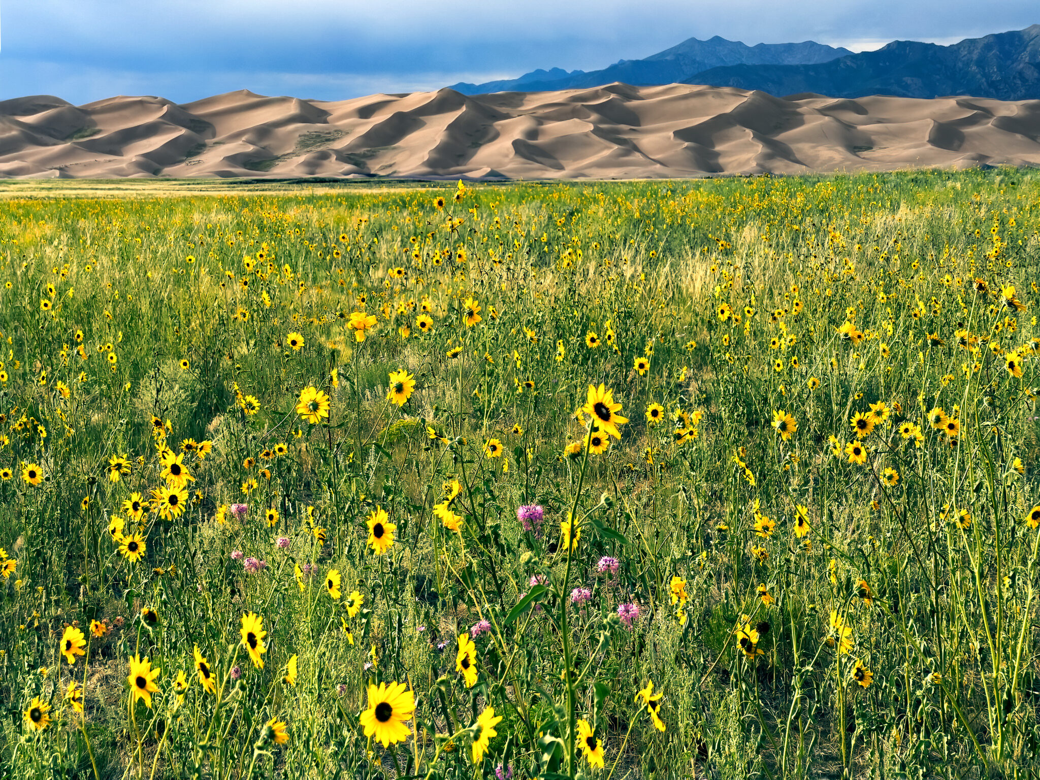 Where the Wildflowers Bloom: The 15 Best Spring Hikes in Colorado ...