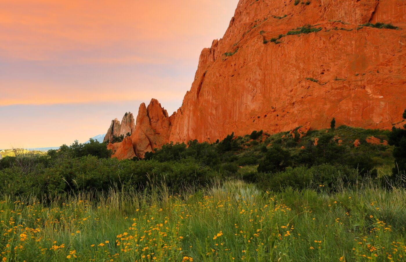 Where the Wildflowers Bloom: The 15 Best Spring Hikes in Colorado ...