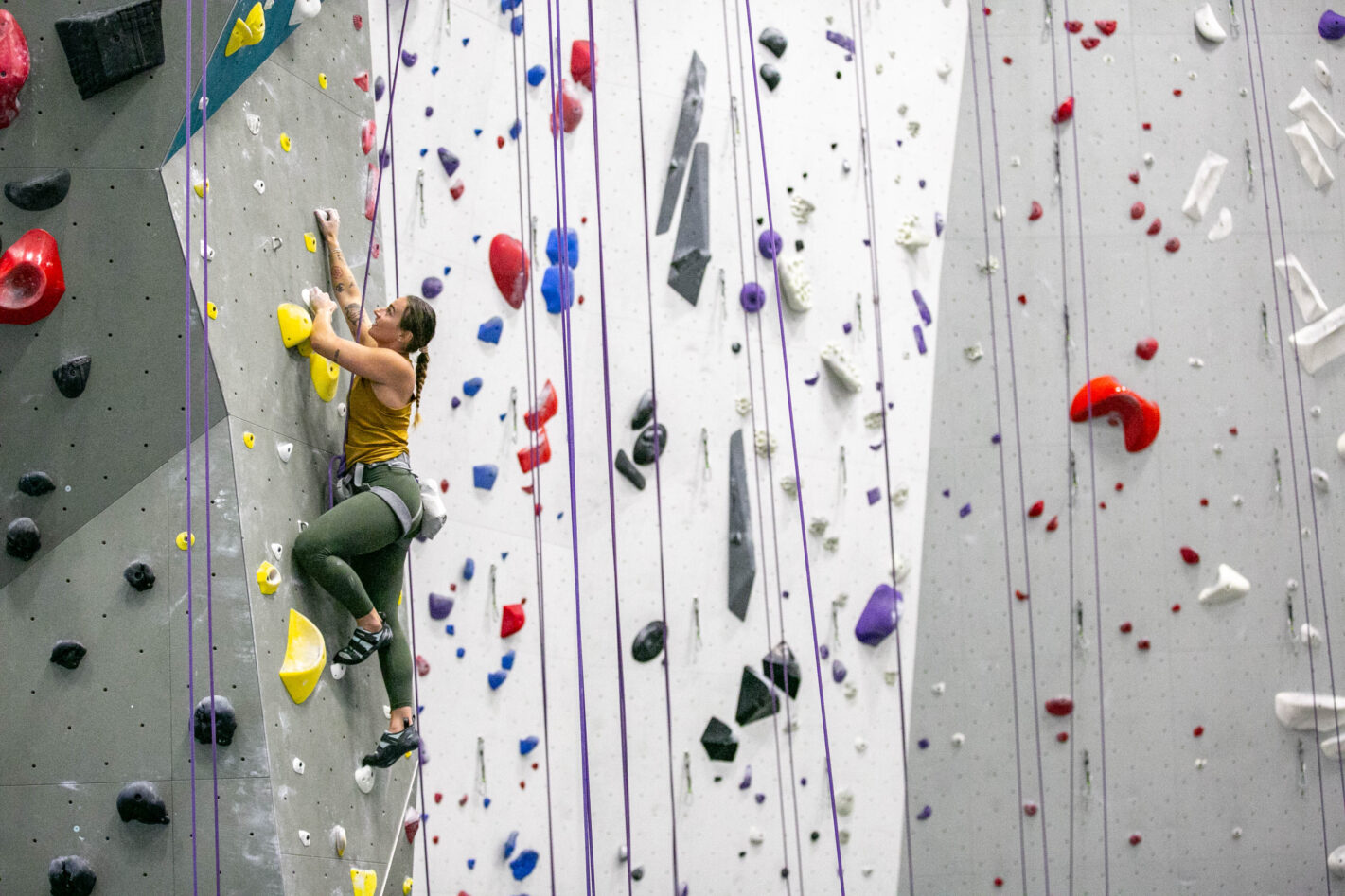 Climb On! The 9 Best Rock Climbing Gyms in Denver and Beyond - Wundervue