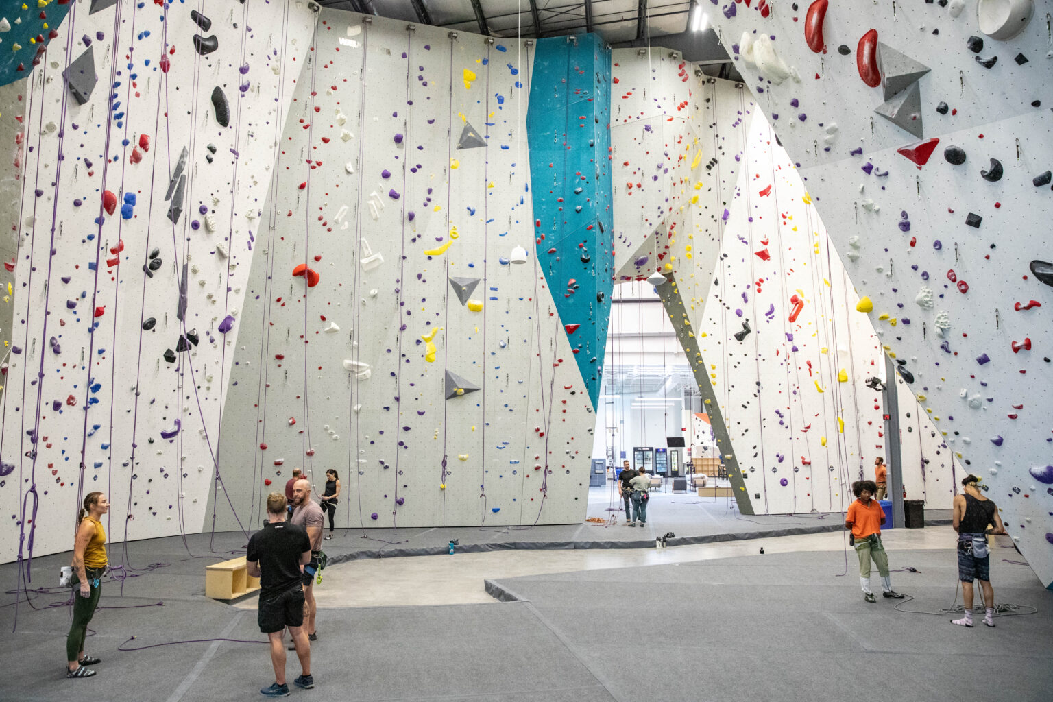 Climb On! The 9 Best Rock Climbing Gyms in Denver and Beyond - Wundervue