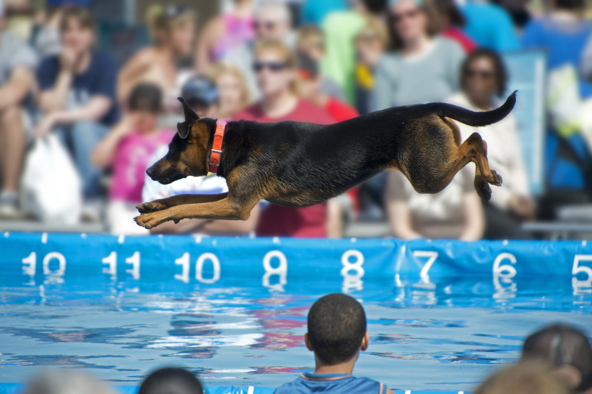 The Best Free Things to Do in Denver (Updated Monthly) - Wundervue