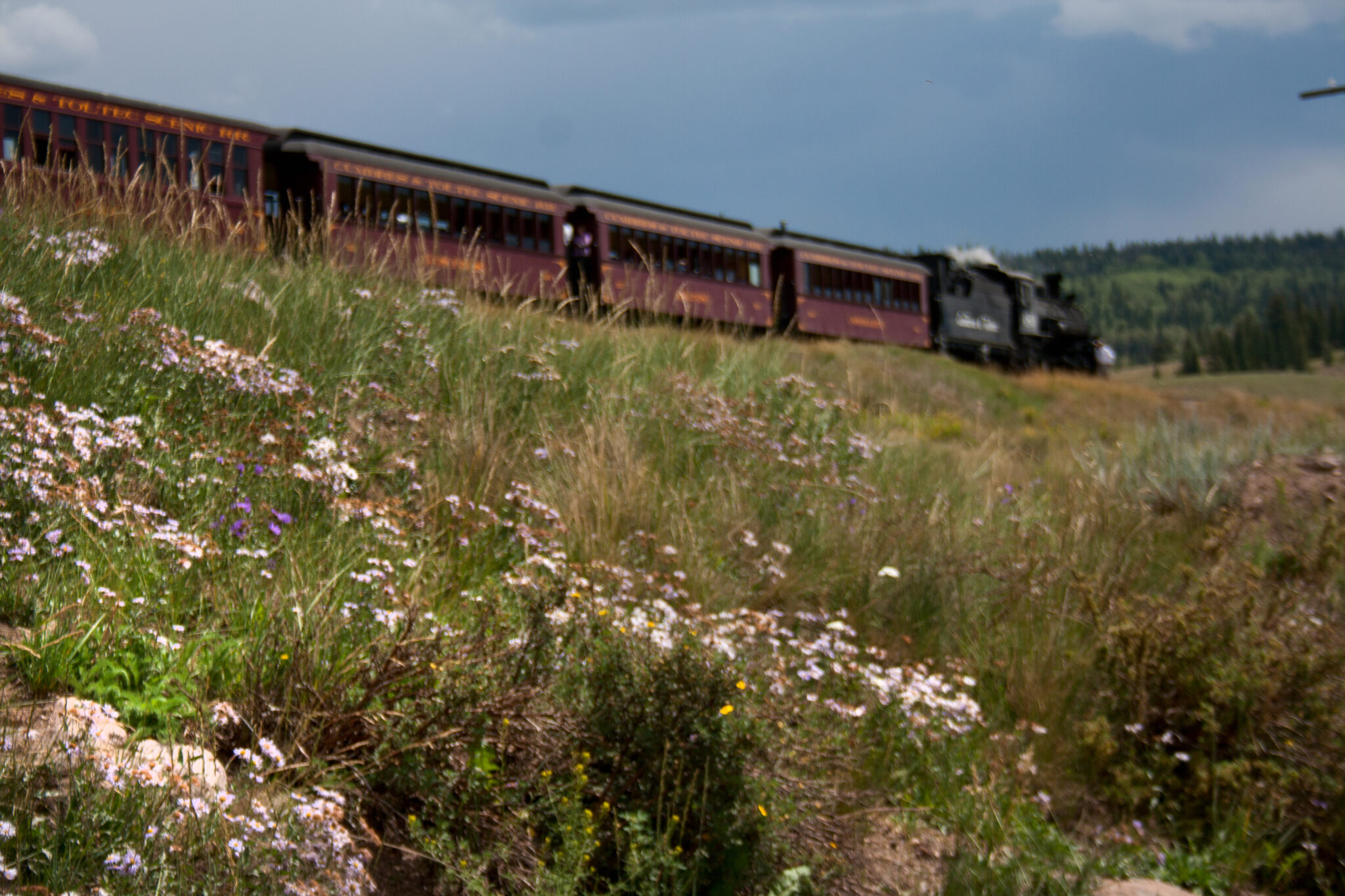 The Ultimate Guide to the Best Colorado Train Rides - Wundervue