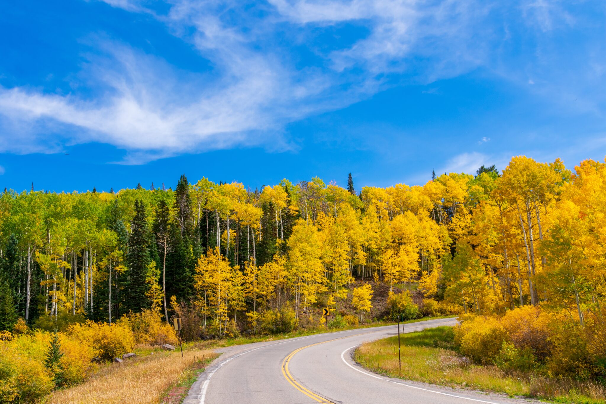 Colorado’s Most Colorful Fall Drives: A Scenic Guide - Wundervue