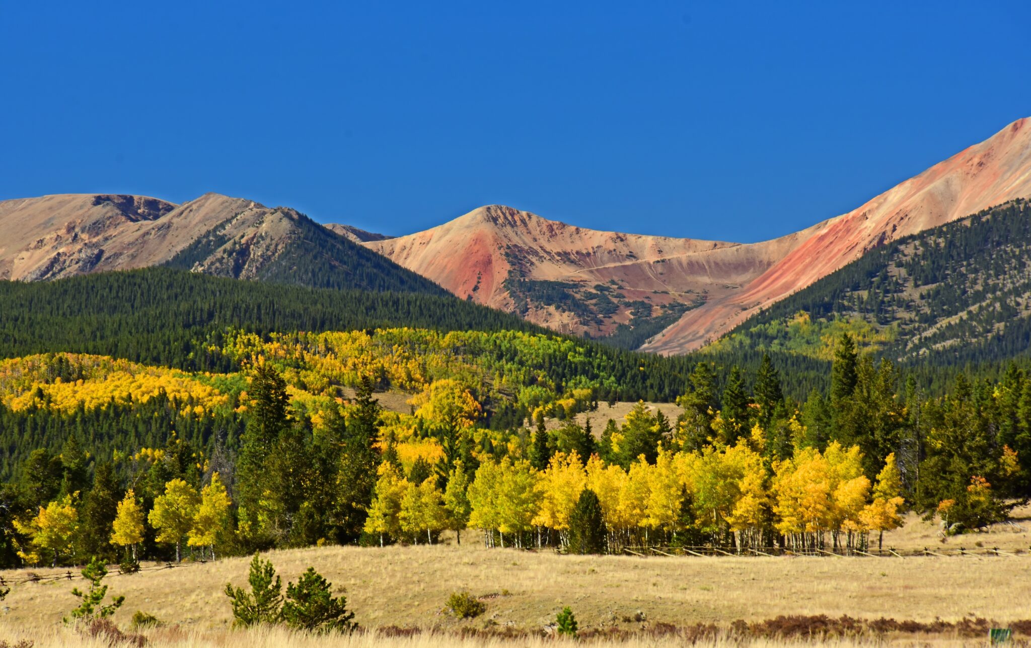 Colorado’s Most Colorful Fall Drives: A Scenic Guide - Wundervue