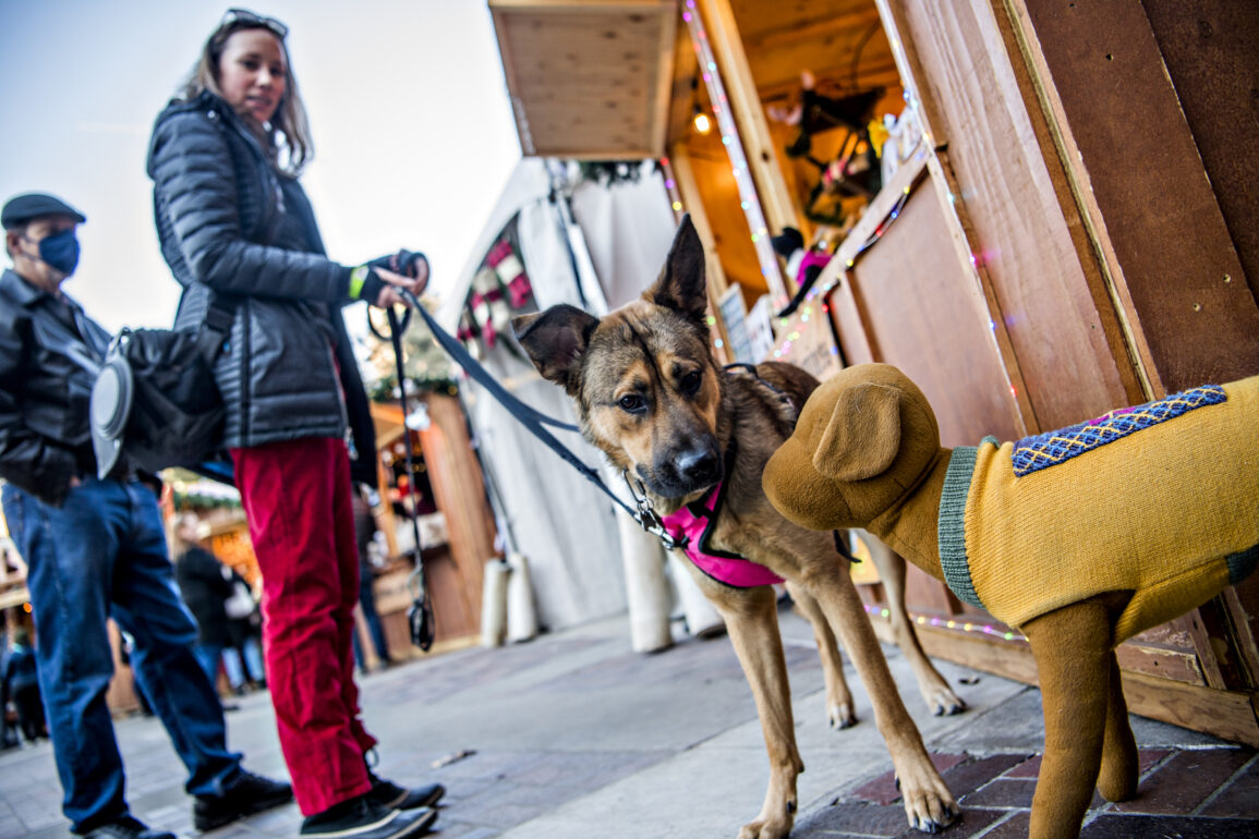Hop into the Holidays at Denver’s 16 Best Christmas Markets - Wundervue